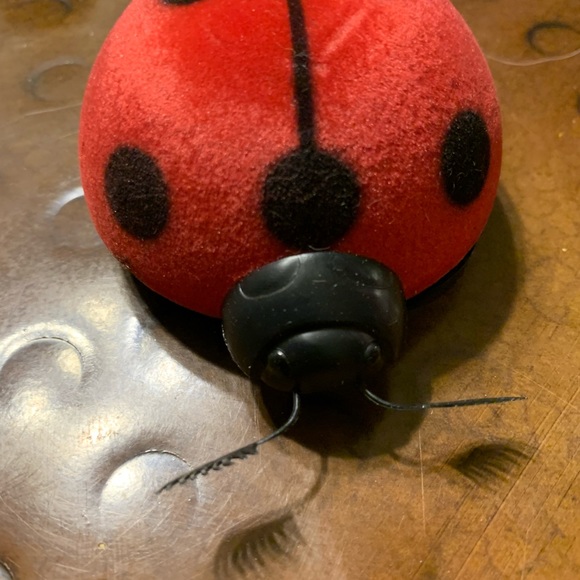 None | Other | Vintage Germany Musical Ladybug Spinning | Poshmark